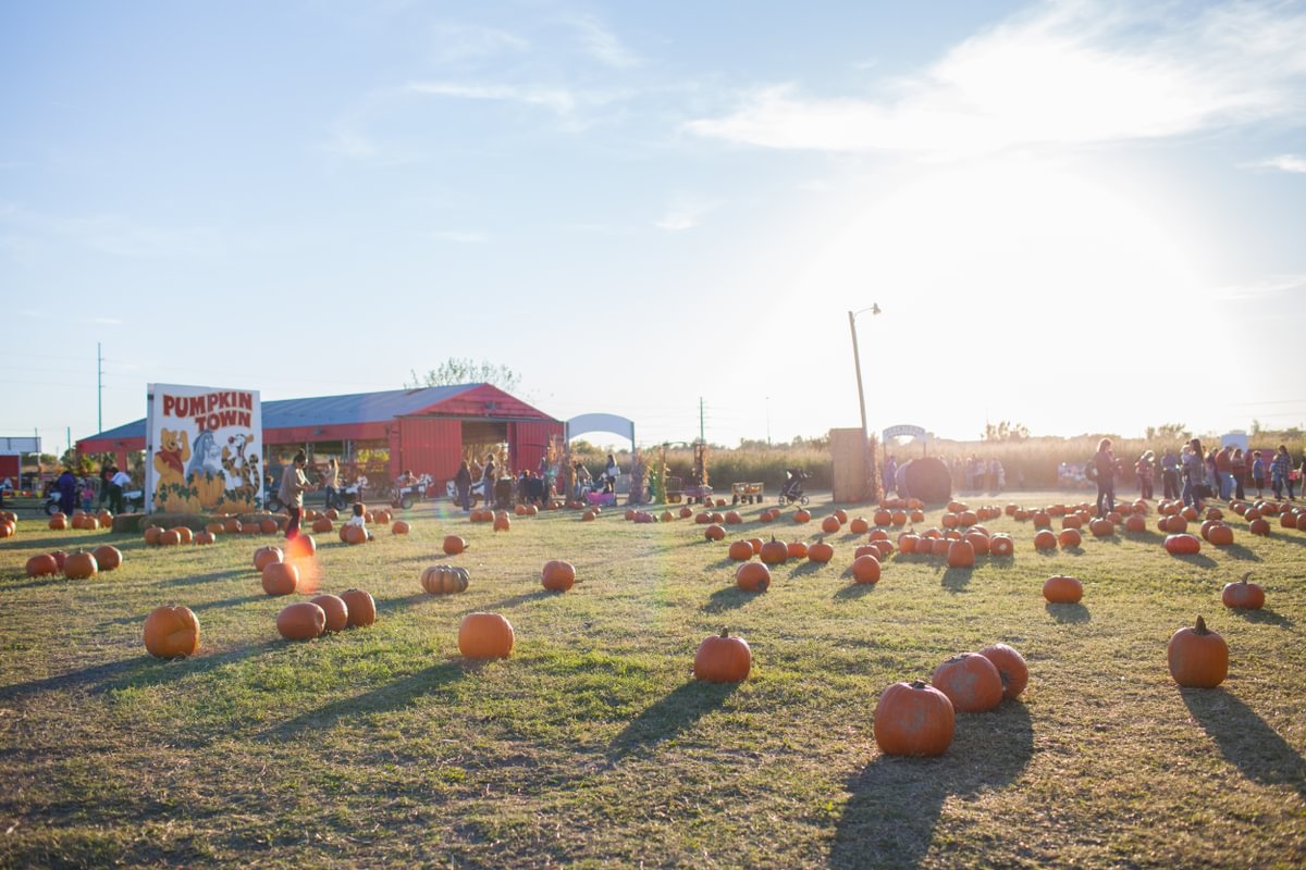 Your Tulsa Fall Bucket List